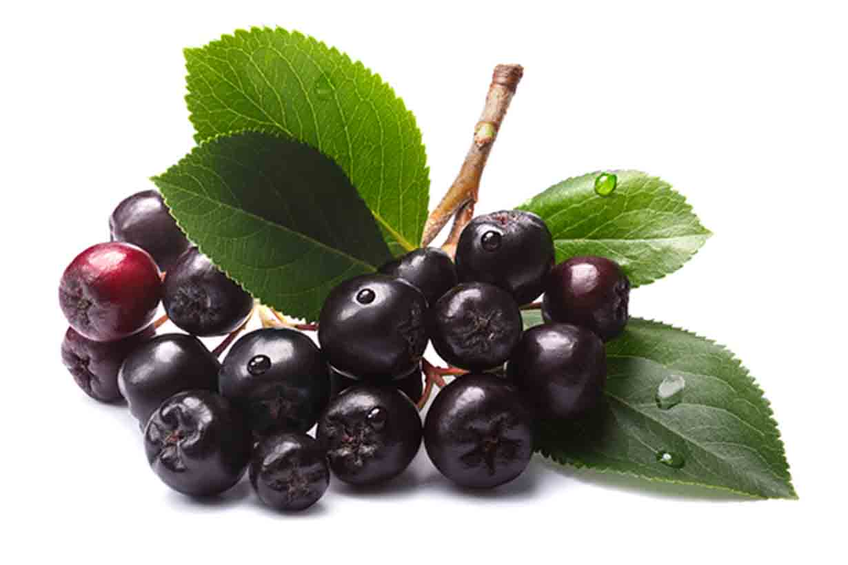 27 Types of Berries and Their Nutritional Values - Nutrition Advance