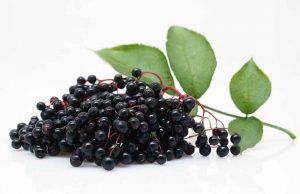 27 Types of Berries and Their Nutritional Values - Nutrition Advance