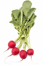 20 of the Best Low Carb Vegetables | Nutrition Advance