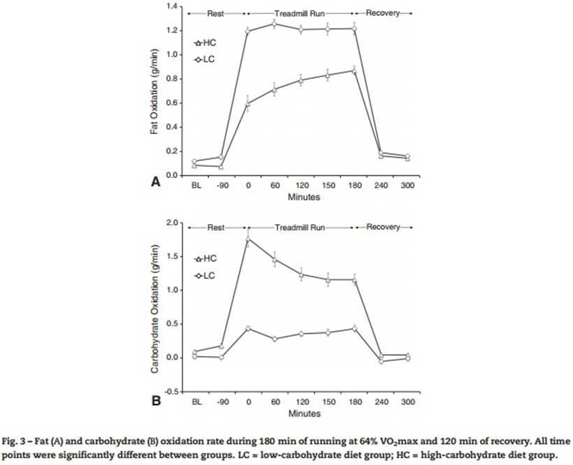 Keto Adaptation: What Performance Benefits Can It Have?