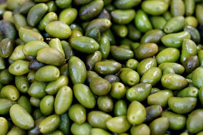 26 Types of Olives: A Guide to the Healthy Fruit | Nutrition Advance
