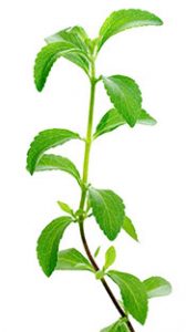 Is Stevia a Safe Sweetener? Health Benefits, Risks and Side Effects