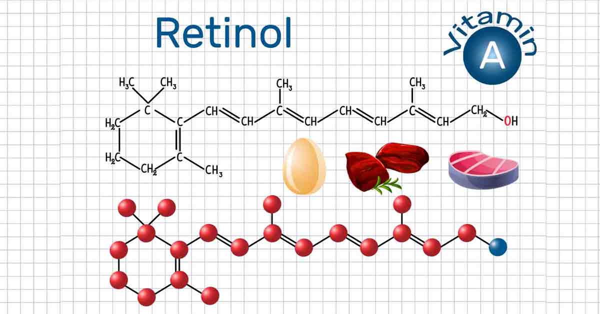 30 Foods High In Vitamin A - Nutrition Advance
