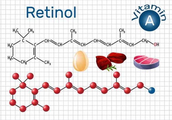 30 Foods High In Vitamin A - Nutrition Advance