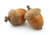 17 Tipos de nozes: Como se comparam? | Avanço Nutricional | IWOFR