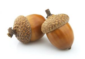 20 Types of Nuts and Their Nutritional Values - Nutrition Advance