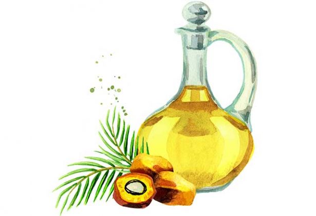 25 Types of Cooking Fats and Oils: Nutrition, Fats & Characteristics