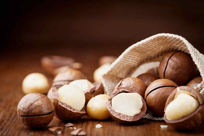 20 Types of Nuts and Their Nutritional Values - Nutrition Advance