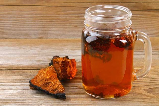 Chaga Mushroom Tea: Health Benefits and Side Effects