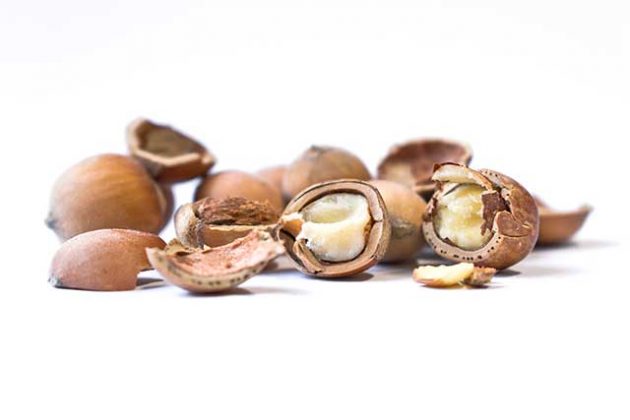 Hazelnuts 101: Nutrition Facts and Health Benefits