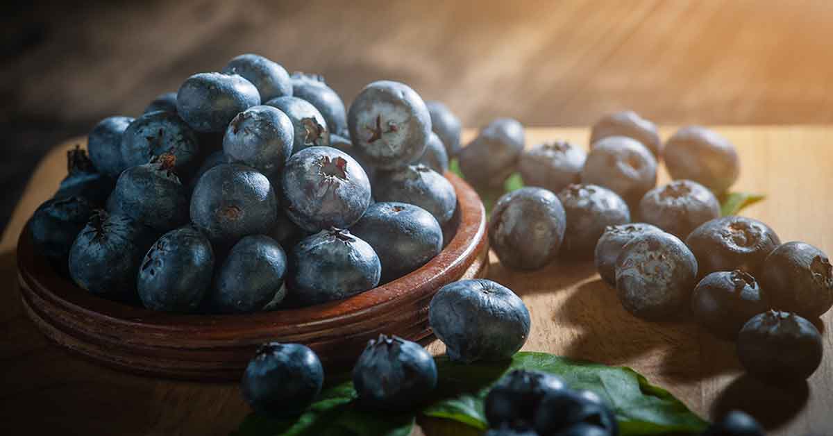 Wild Blueberries: Nutrition Facts and Health Benefits - Nutrition Advance