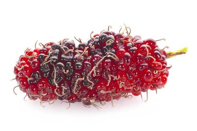 Mulberry Fruit: Nutrition Facts and Health Benefits - Nutrition Advance