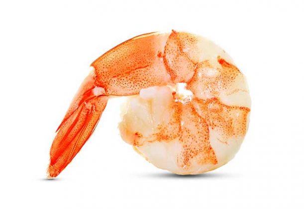 Shrimp 101: Nutrition Facts, Benefits, and Concerns - Nutrition Advance