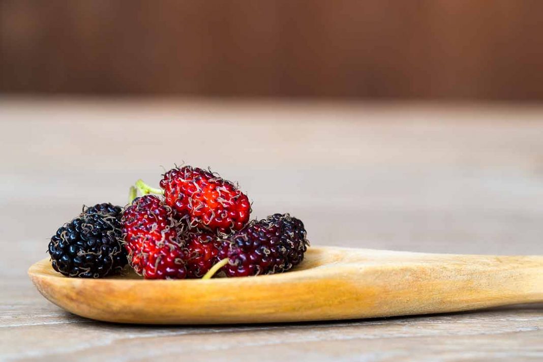 Black Raspberries: Nutrition Facts and Benefits - Nutrition Advance