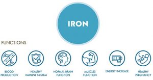9 Health Benefits and Important Functions of Iron - Nutrition Advance
