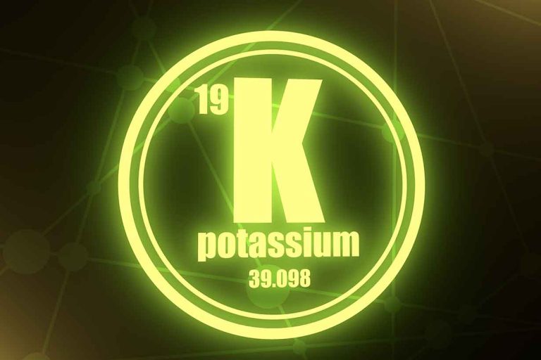 30 Foods High In Potassium - Nutrition Advance
