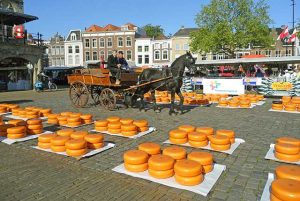 Gouda Cheese 101: Nutrition, Taste, and How To Eat It - Nutrition Advance