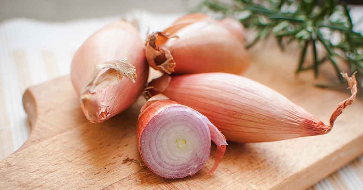 What Are Shallots? - Nutrition Advance