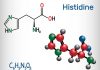 Histidine: Requirements, Functions, Benefits, and Best Food Sources