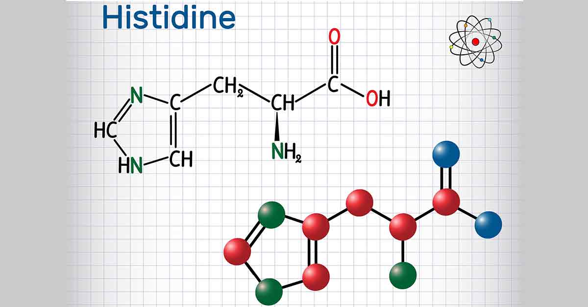 Histidine Requirements Functions Benefits And Best Food Sources