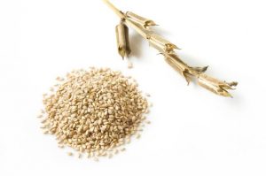 12 Types of Edible Seeds: Nutrition Facts & Characteristics - Nutrition ...