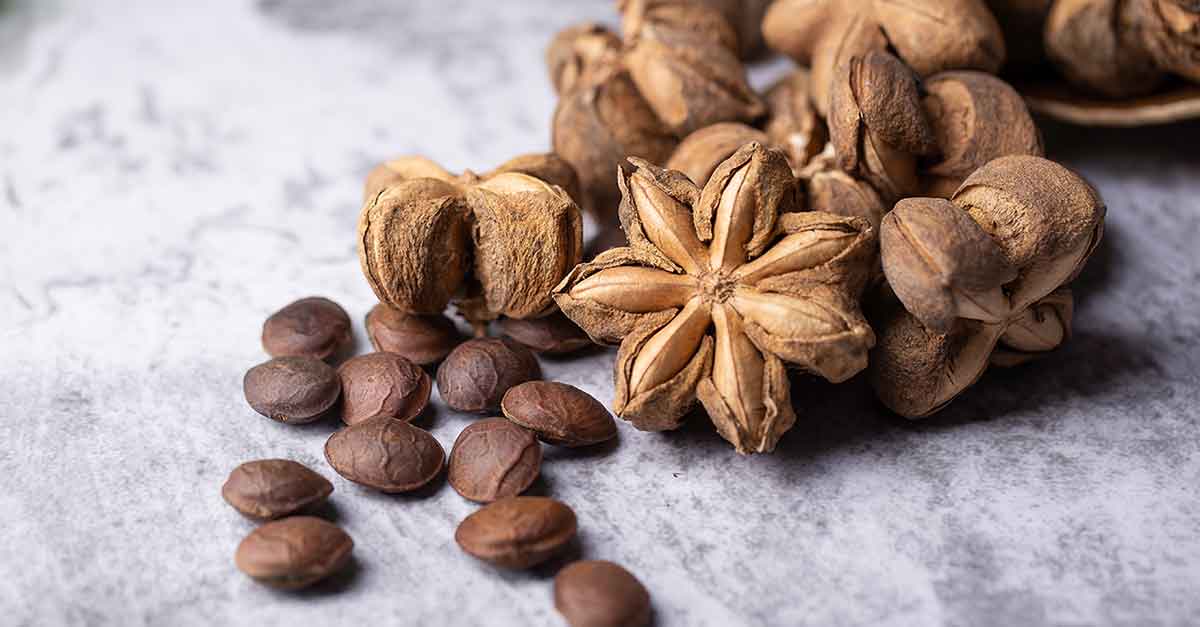 What Are Sacha Inchi Nuts? - Nutrition Advance