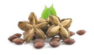 What Are Sacha Inchi Nuts? - Nutrition Advance