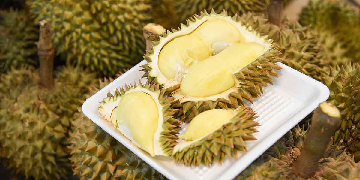 Spiky Fruit That Smells Bad