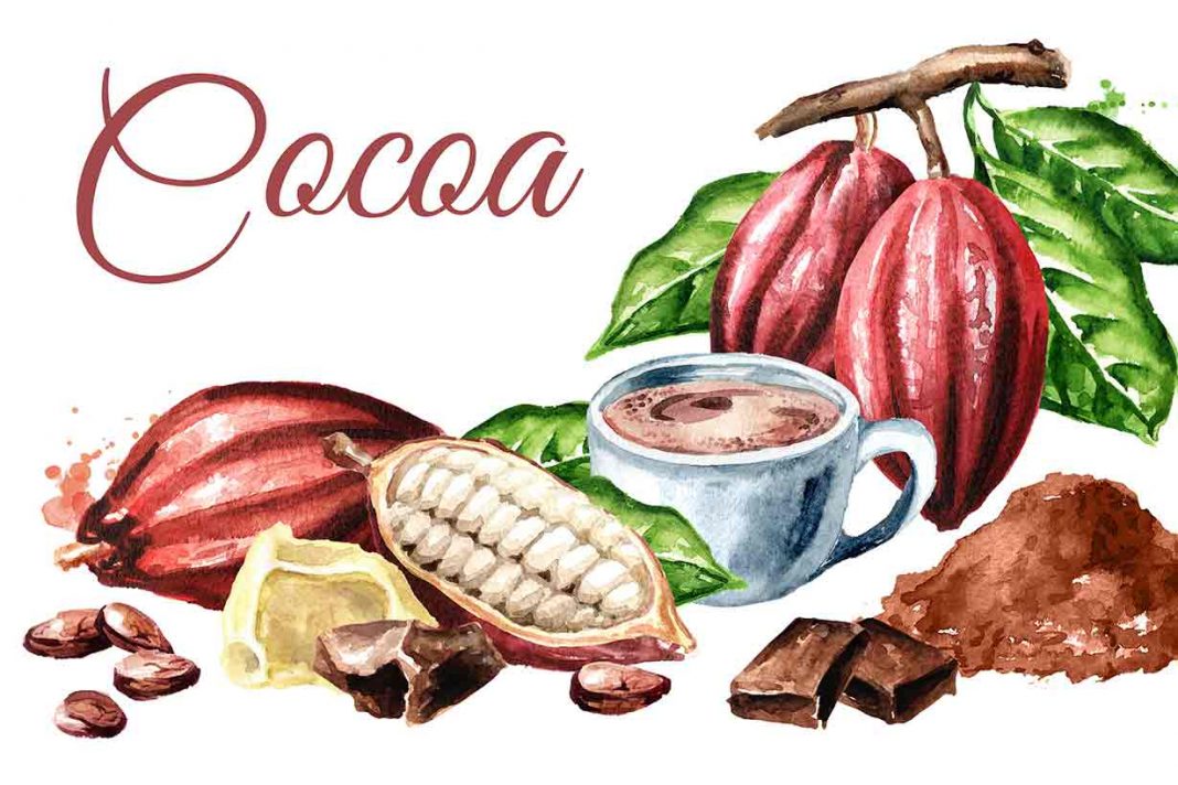 Cocoa Powder 101: Nutrition Facts and Health Benefits