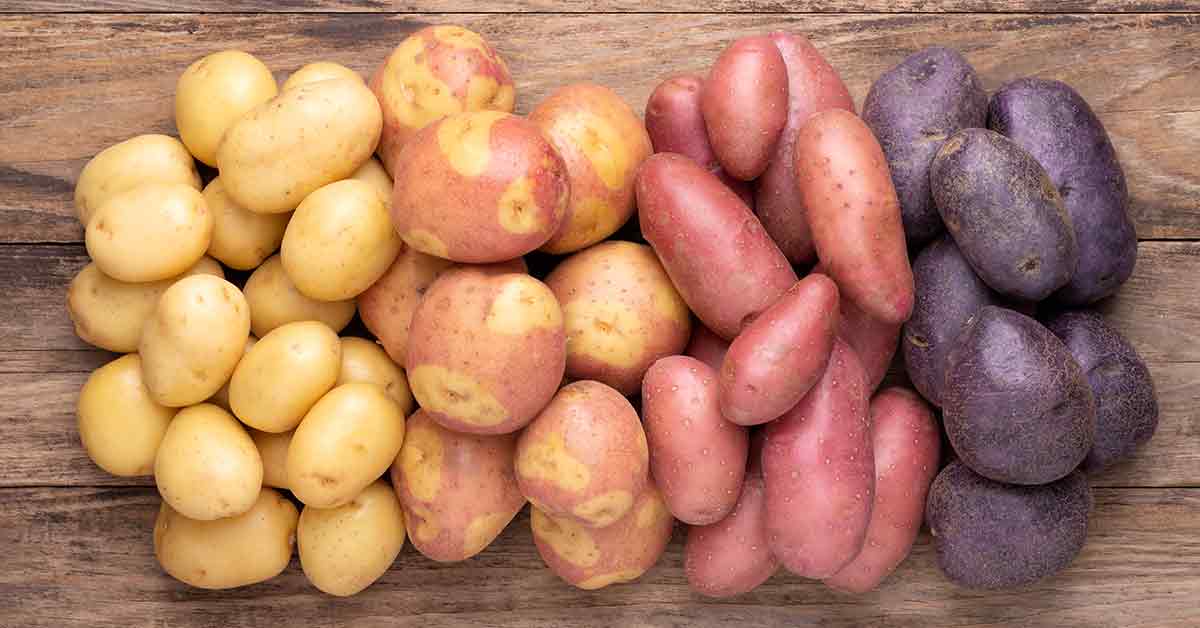 33 Popular Types of Potatoes - Nutrition Advance 33 Popular Types of Potatoes - Nutrition Advance