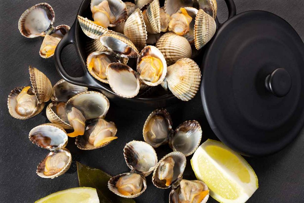What Are Cockles? Nutrition Facts, Benefits, and Uses - Nutrition Advance What Are Cockles? Nutrition Facts, Benefits, and Uses - Nutrition Advance