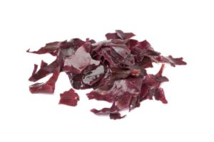 A List of 14 Sea Vegetables To Try - Nutrition Advance