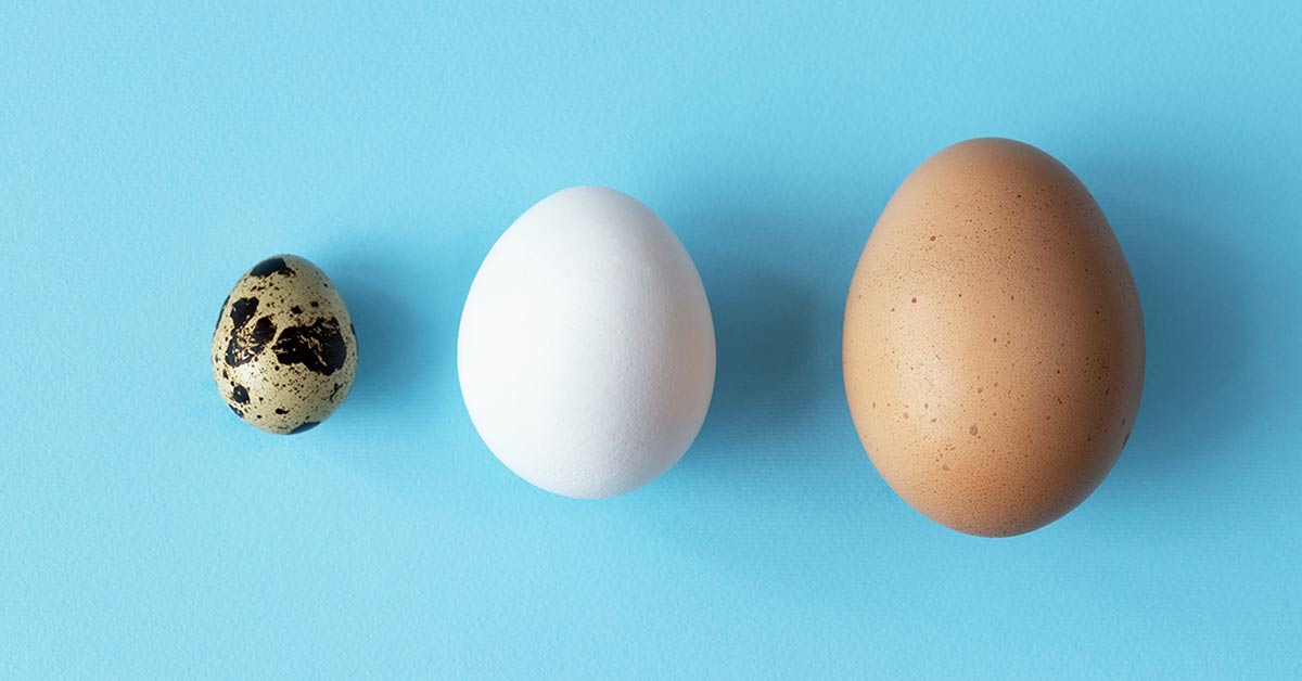 5 Types of Eggs: Nutrition Facts & Characteristics - Nutrition Advance