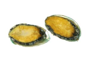 18 Types of Shellfish: a Nutritional Guide - Nutrition Advance