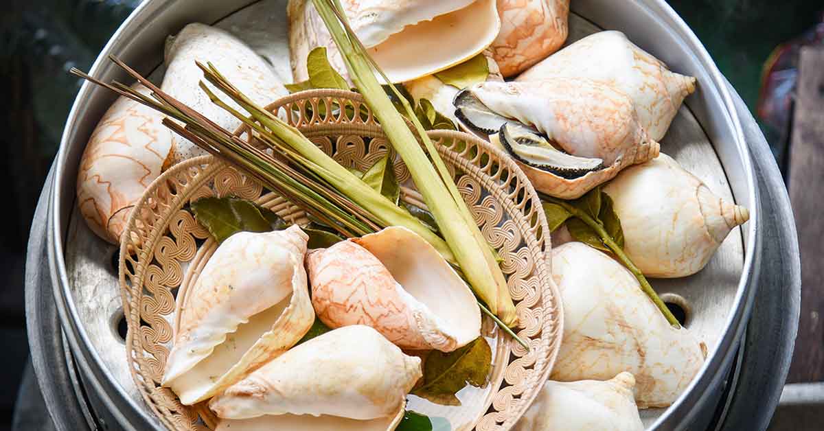 The Nutritional Benefits of Conch - Nutrition Advance