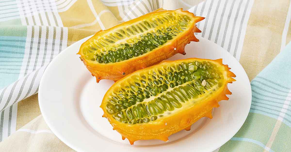 10 Types of Melon and Their Nutritional Values - Nutrition Advance