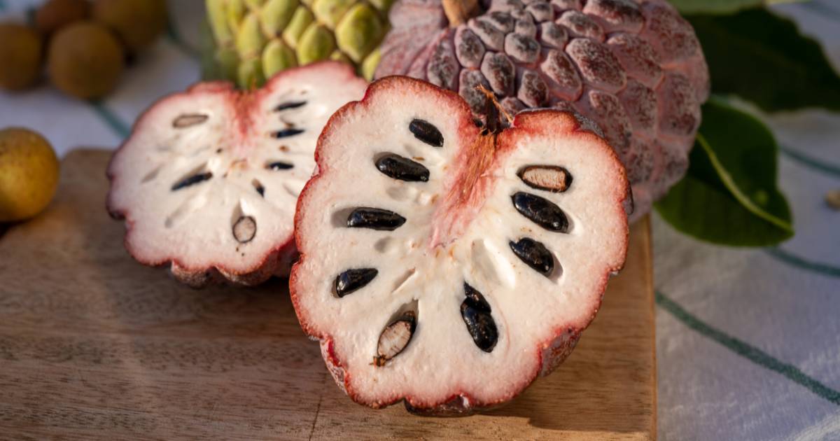 What Is Cherimoya Fruit? Nutrition, Benefits & More