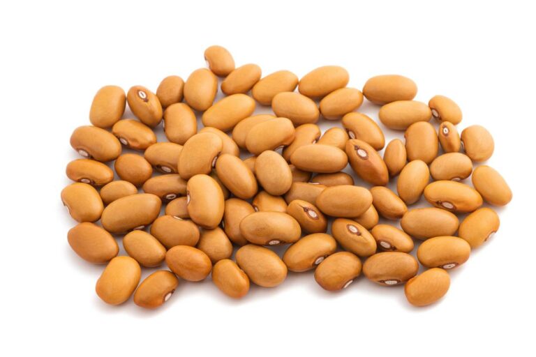 5 Benefits of Tepary Beans (With Nutrition Facts) - Nutrition Advance