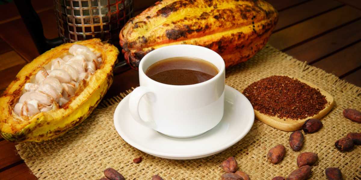 Does Brewed Cacao Have Benefits? - Nutrition Advance