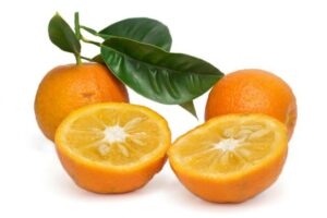 10 Types of Oranges and Their Nutrition Facts - Nutrition Advance