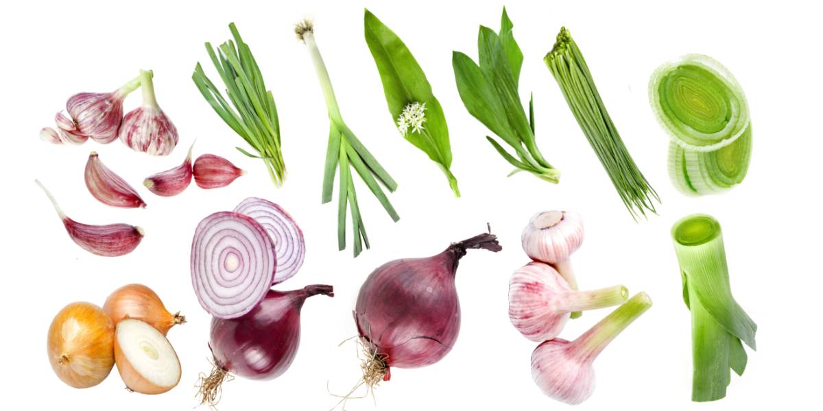 A List of Allium Vegetables and Their Nutritional Benefits - Nutrition ...