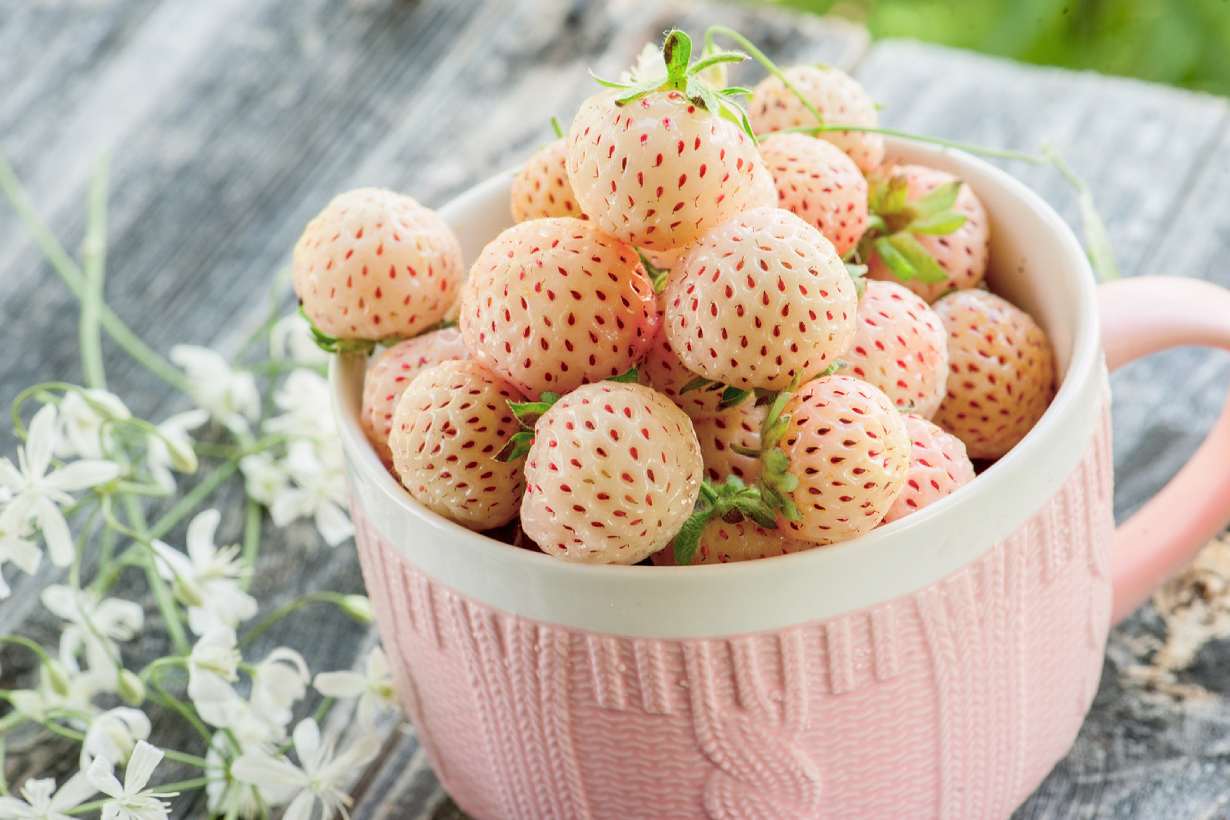 What Are Pineberries? A Nutritional Guide - Nutrition Advance