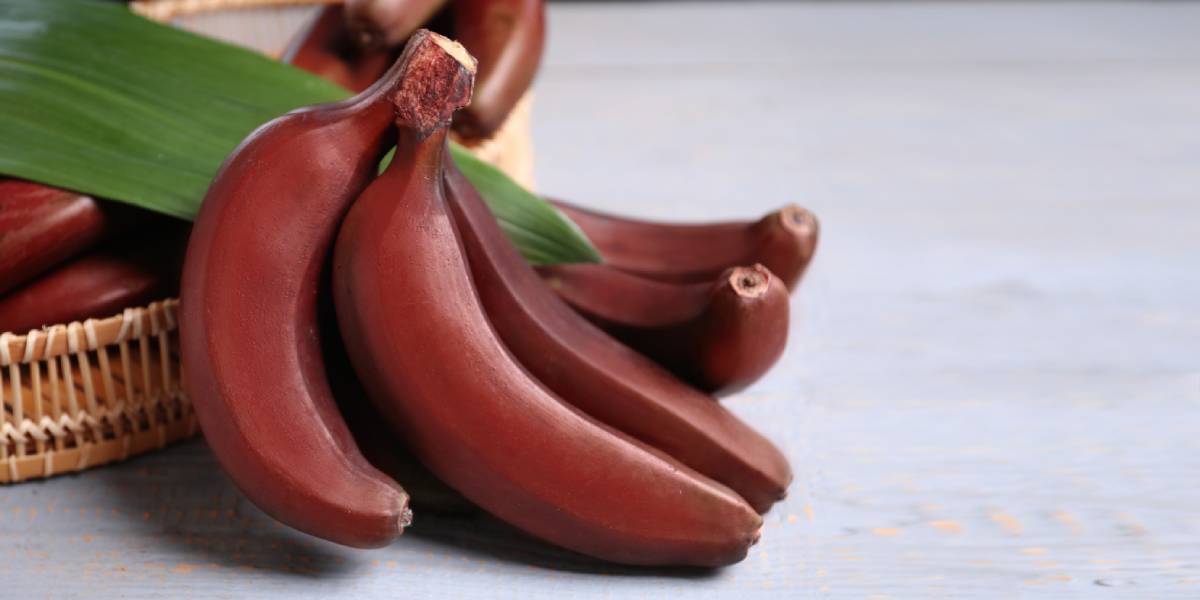 Red Bananas: What Do They Offer Nutritionally? - Nutrition Advance