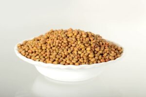 What Are Moth Beans? Nutrition, Benefits, Downsides - Nutrition Advance